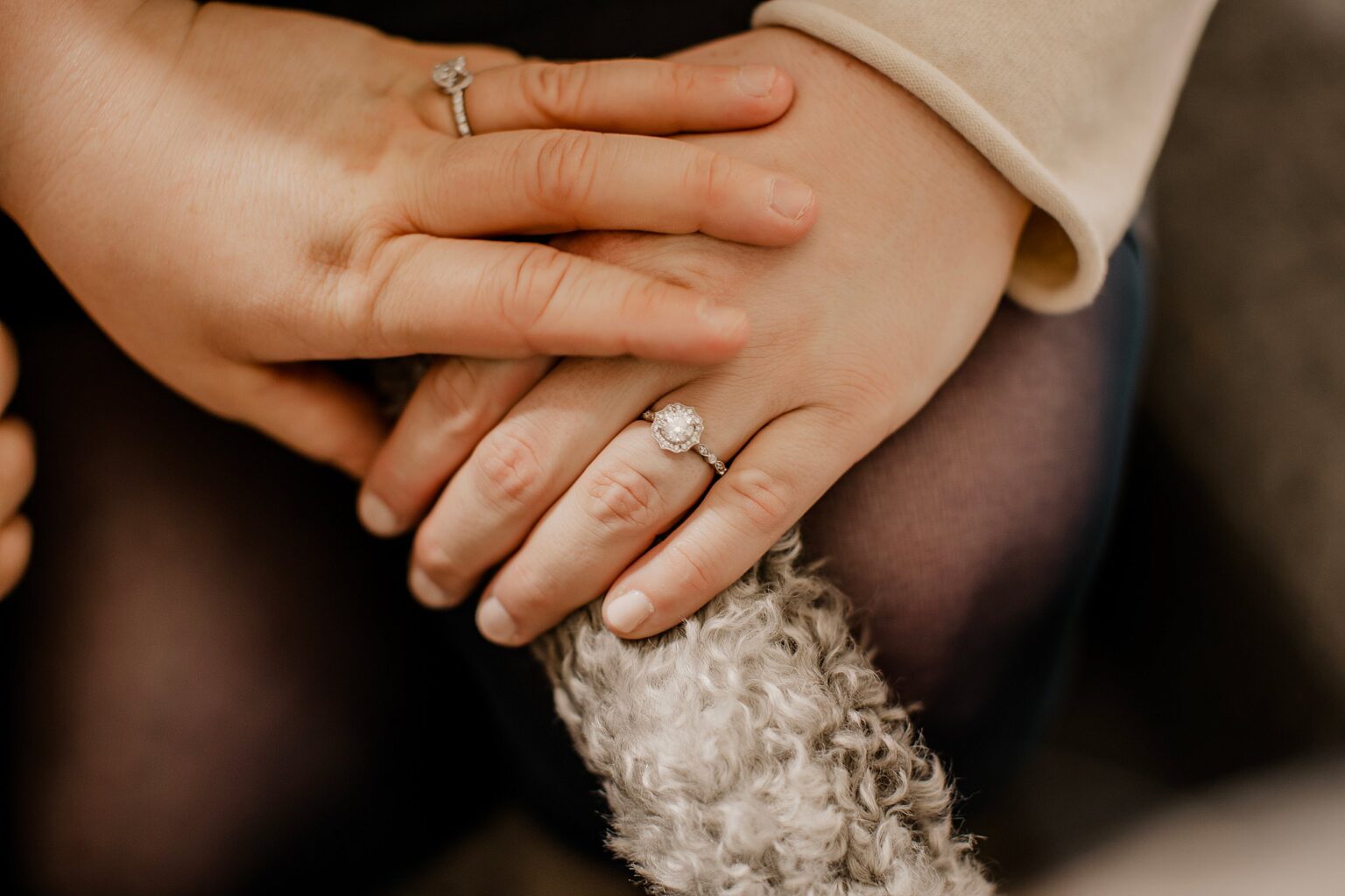 Indianapolis Indiana Engagement Photographer// Erin & Courtney ...